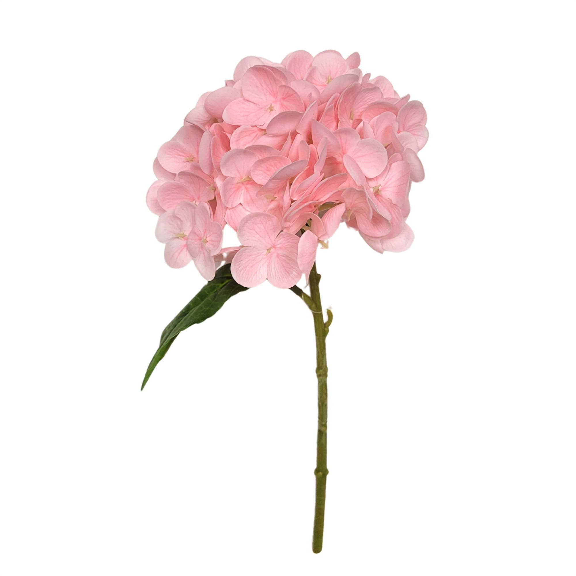 Fresh Touch Hydrangea Stem 18” - Pinkp – Bloomin' Hills Farm & Flowers